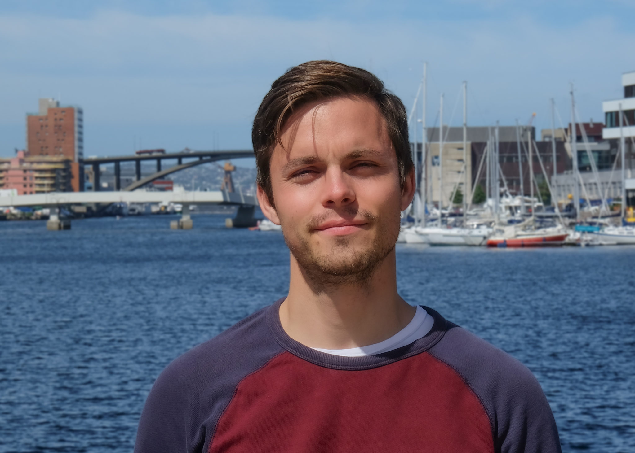 About us | Birdsview