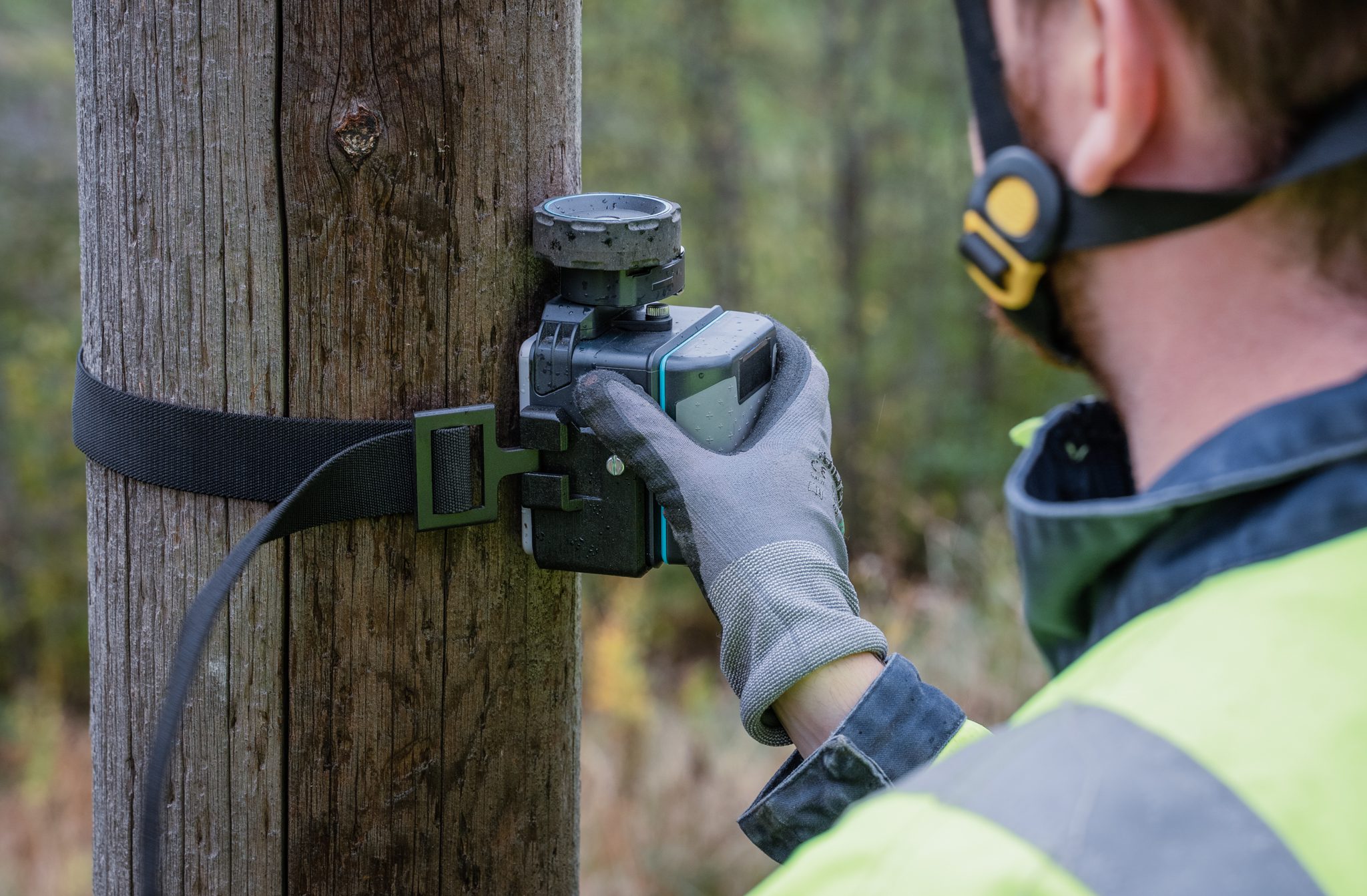 Birdsview Wood | Birdsview