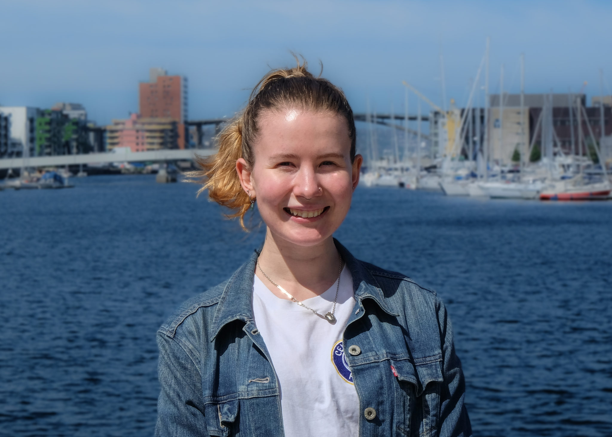 About us | Birdsview